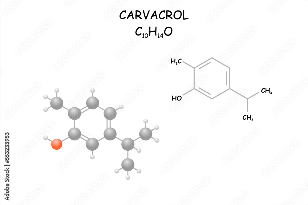 Stylized 2D molecule model/structural formula of carvacrol. Stock ...