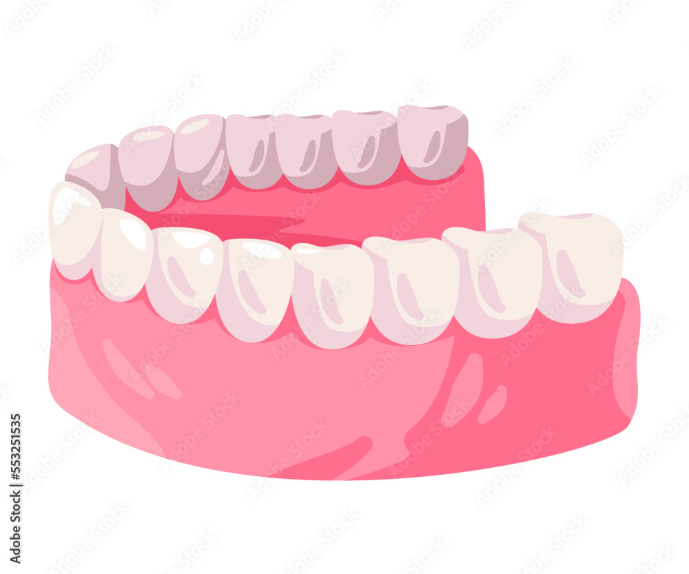 Mouth gums and teeth orthodonthic lower jaw drawing illustration Stock ...