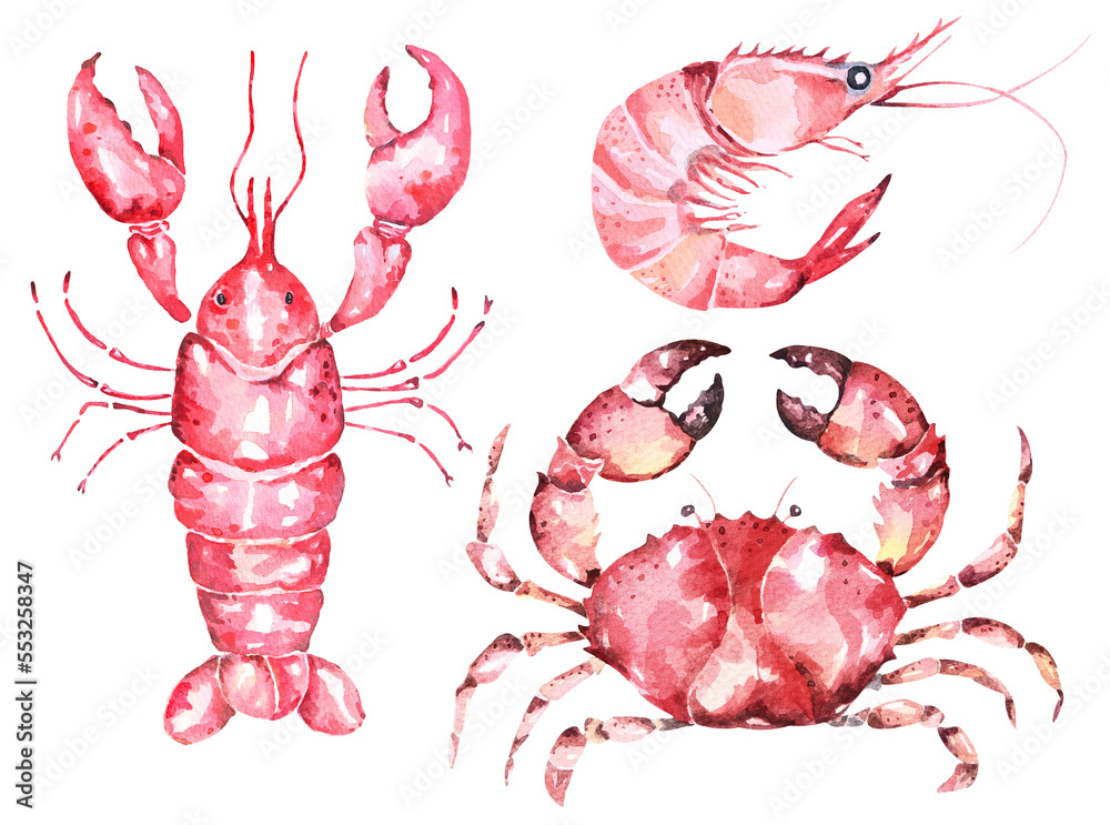 Fresh sea food.Lobster,Shrimp, crab and shellfish hand drawn ...