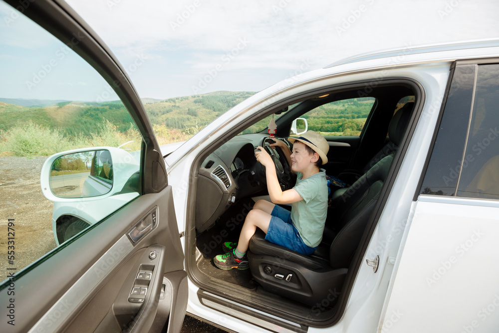 Little boy driving a car. Travel by car with a child. Road trip with ...