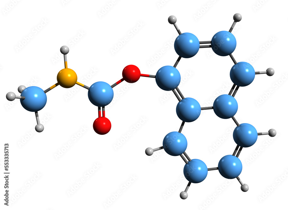 3D image of Carbaryl skeletal formula - molecular chemical structure of ...