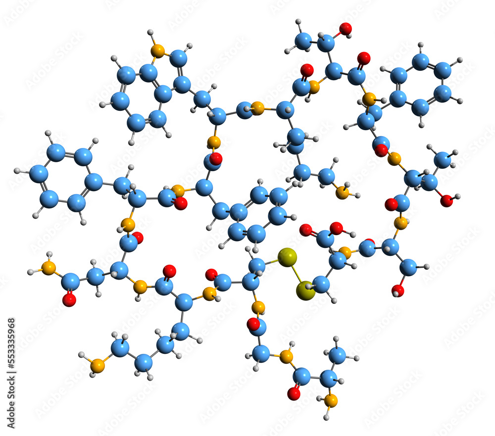 3D image of Somatostatin skeletal formula - molecular chemical ...