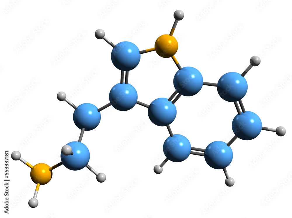 3D image of Tryptamine skeletal formula - molecular chemical structure ...