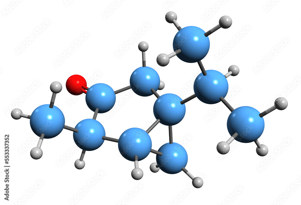 3D image of Thujone skeletal formula - molecular chemical structure of ...