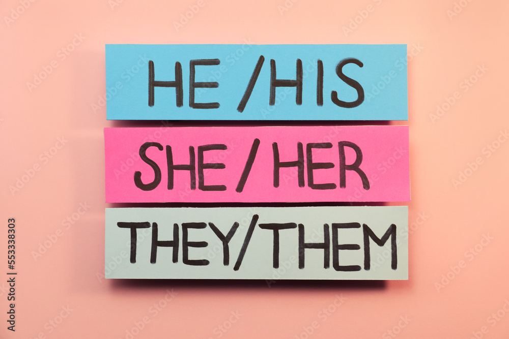 Sheets of paper with pronouns on pink background, flat lay. Gender ...