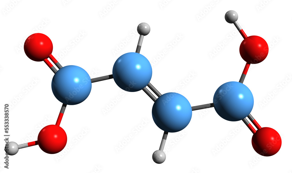 ภาพประกอบสต็อก 3D image of Fumaric acid skeletal formula - molecular ...