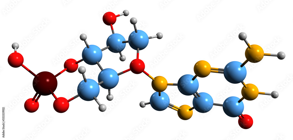 3D image of Cyclic guanosine monophosphate skeletal formula - molecular ...