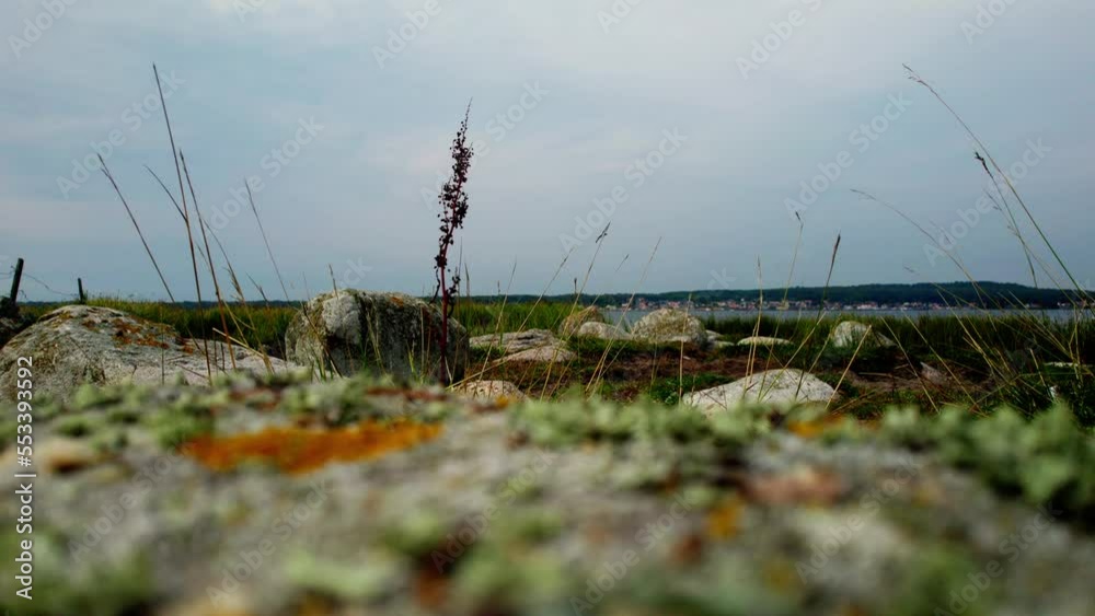 Low angle view static shot at ground level in the foreground boulders ...