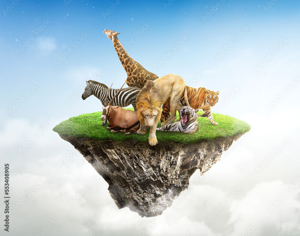 Concept Nature reserve conserve Wildlife reserve tiger Giraffe Global ...