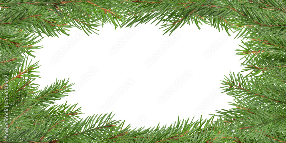 Frame from Pine Brunch. set of decorative borders with green Fir ...