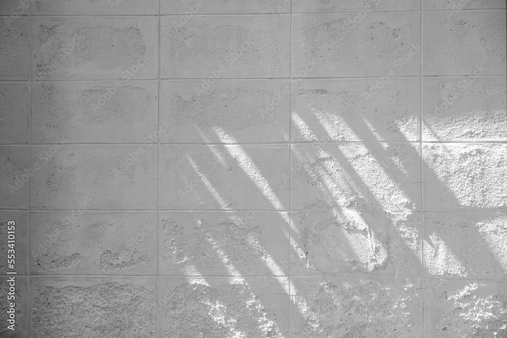 Abstract gray shadow background of natural leaves tree branch falling ...