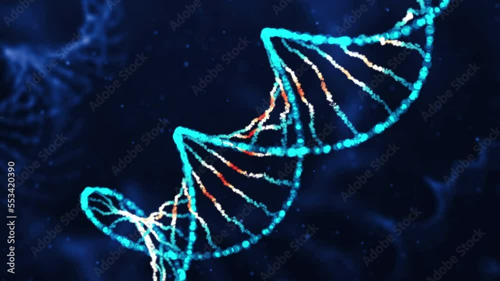 Stockvideon Abstract animated construction of a DNA molecule from ...