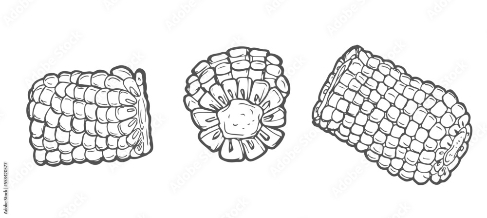 Doodle outline corn pieces. Vector hand-drawn illustration for packing ...