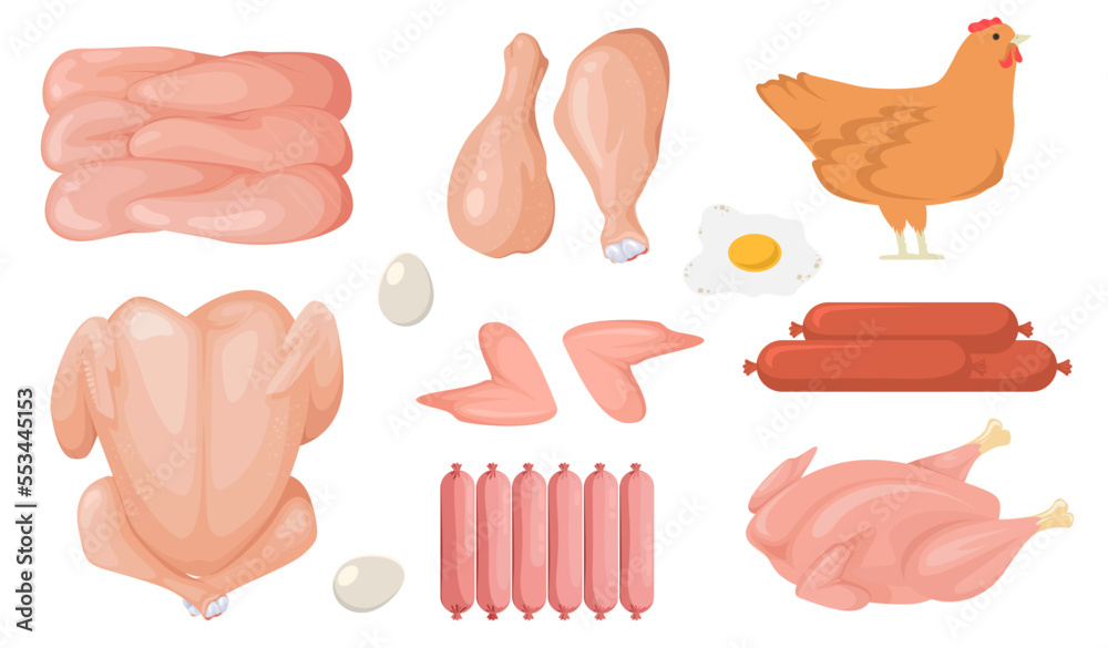 Cartoon chicken fresh raw meat vector set Stock Vector | Adobe Stock