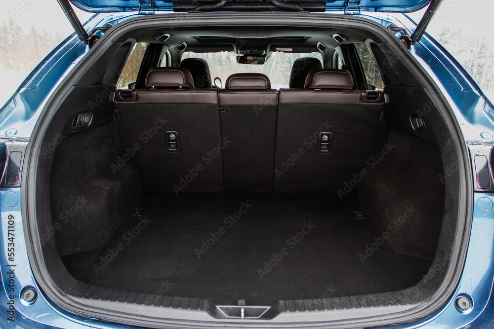 Huge, clean and empty car trunk in interior of compact suv. Rear view ...