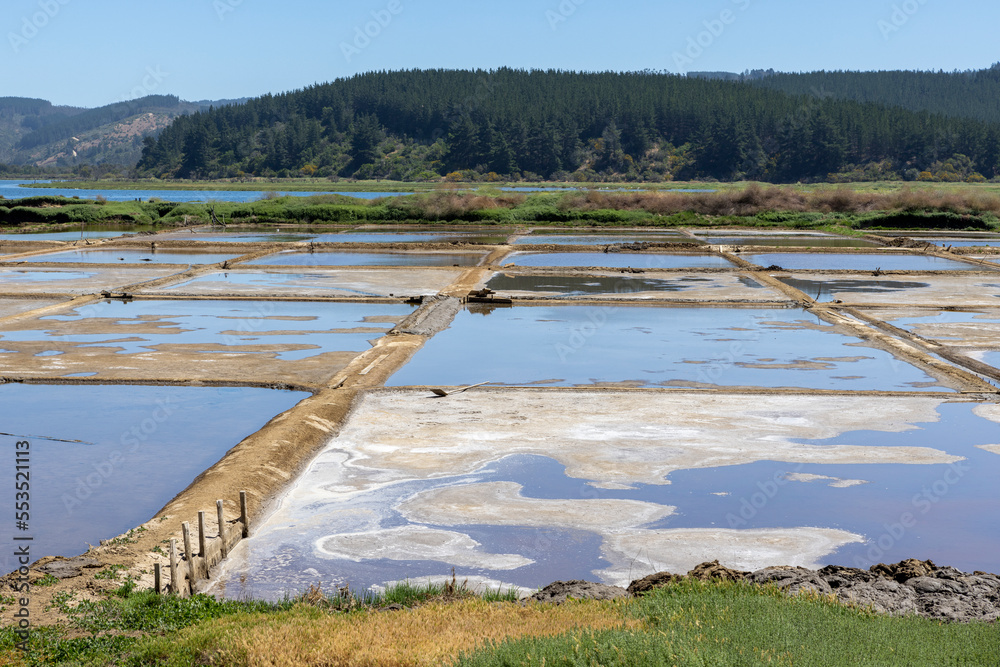 Salinas de Cáhuil and Laguna Cáhuil (Pichilemu) - Chile Stock Photo ...