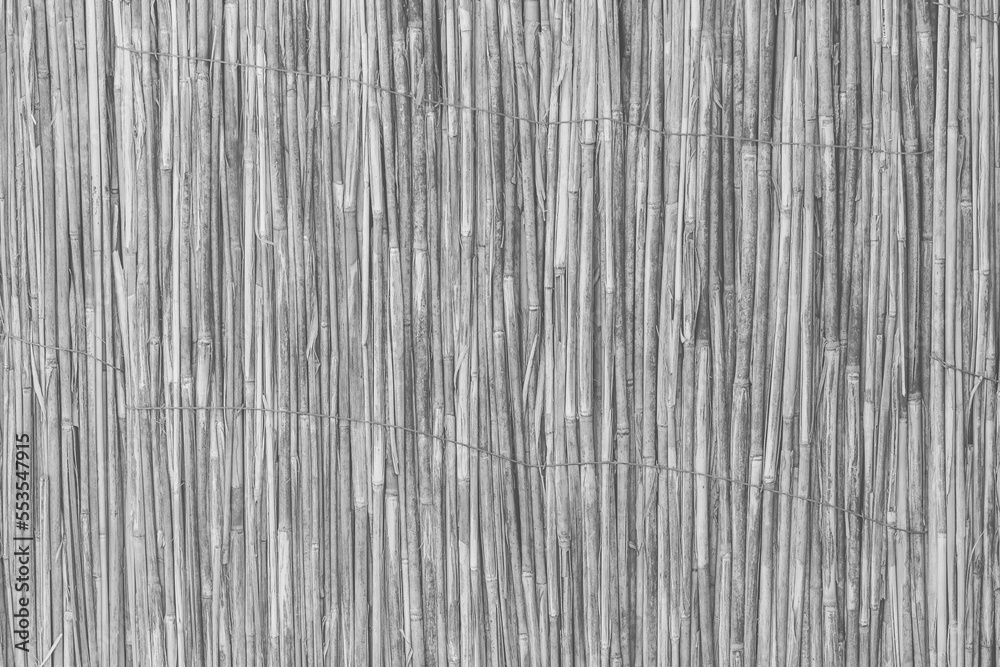Light grey reed interior pattern bamboo handmade wall wicker texture ...