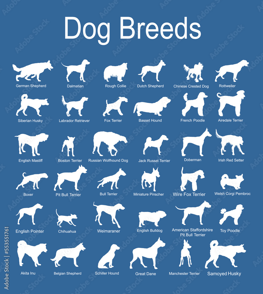 Large dog breed set collection vector silhouette illustration isolated ...