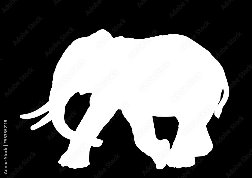 Elephant male vector silhouette illustration isolated on black ...