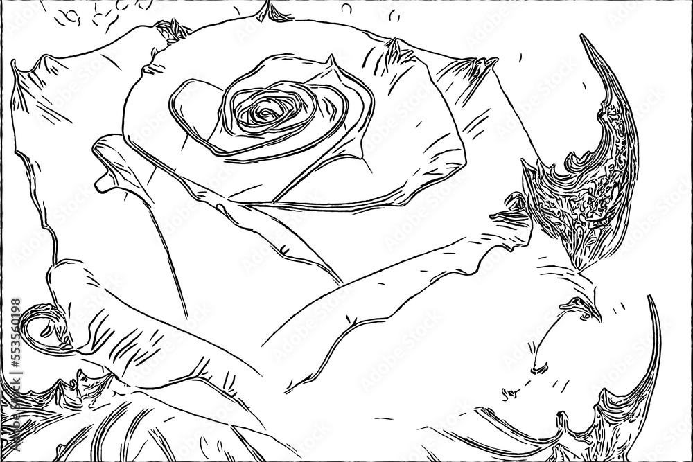 majestic ruby red rose golden background magical Coloring Pages On ...