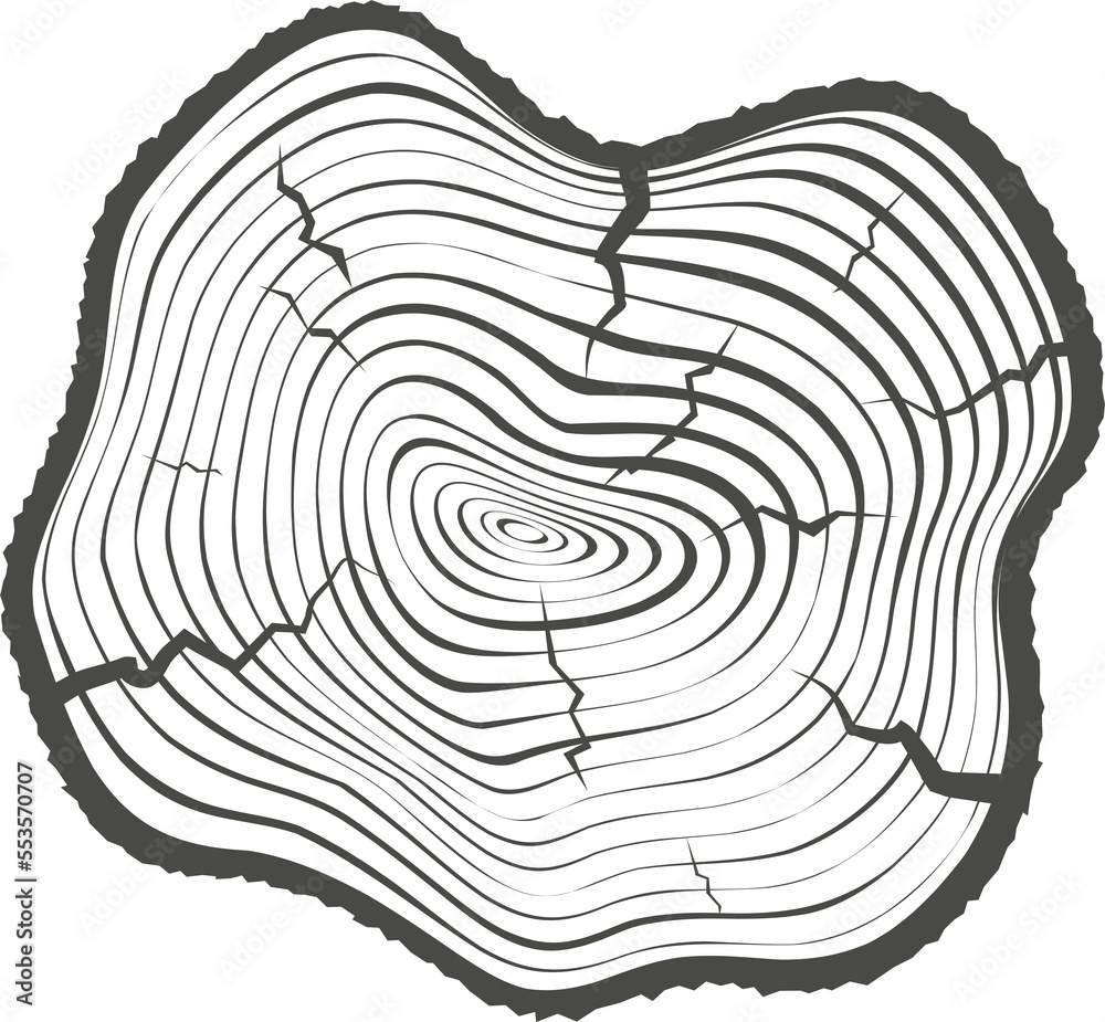 Tree ring wooden log. Circle annual stump texture and topography circle ...