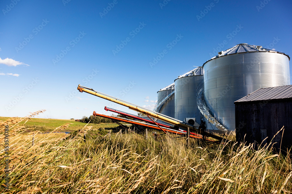 Row of grain storage bins in a grain field with grain augers at the ...