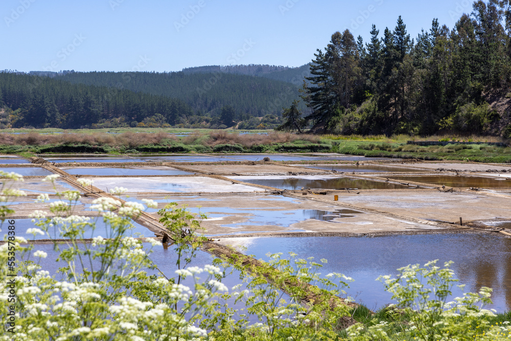 Salinas de Cáhuil and Laguna Cáhuil (Pichilemu) - Chile Stock Photo ...