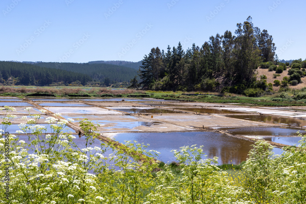 Salinas de Cáhuil and Laguna Cáhuil (Pichilemu) - Chile Stock Photo ...