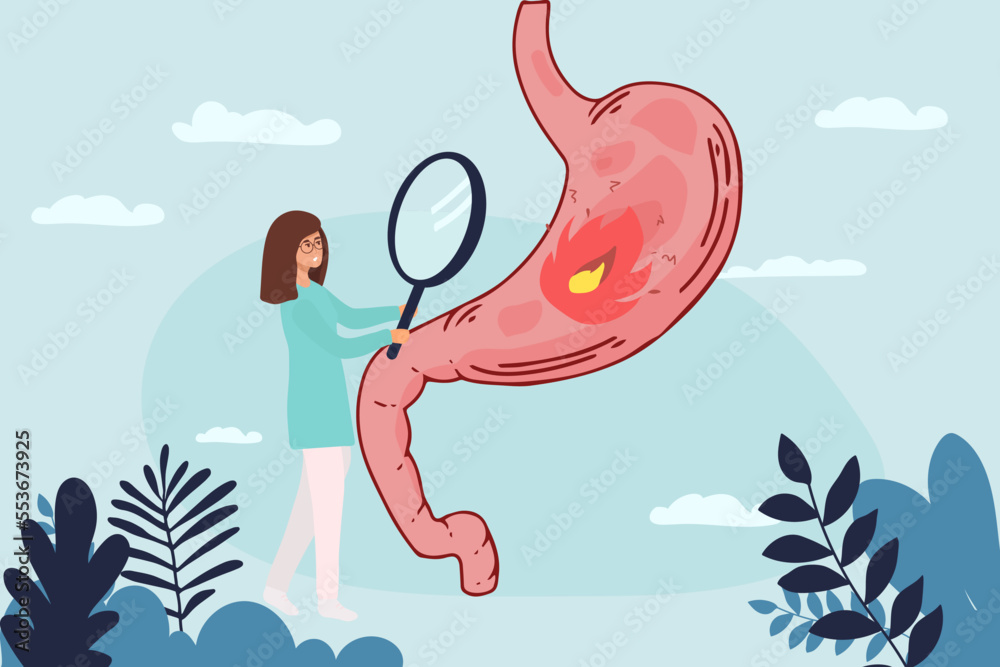 Group of doctors check up human stomach. A doctor holding magnifying ...