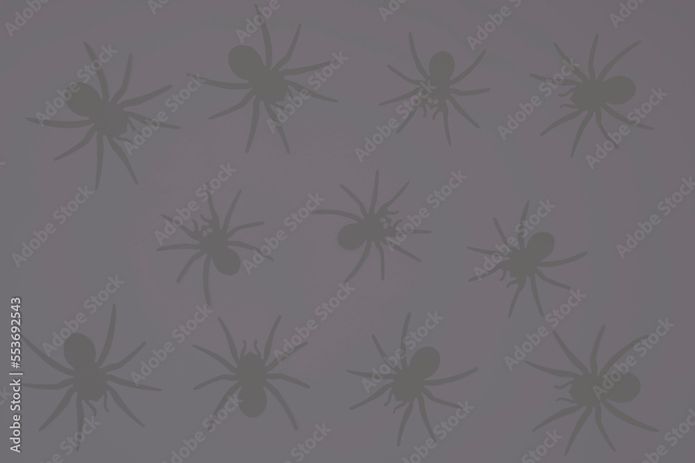 Black spiders on a grey background, color background and silhouettes of ...