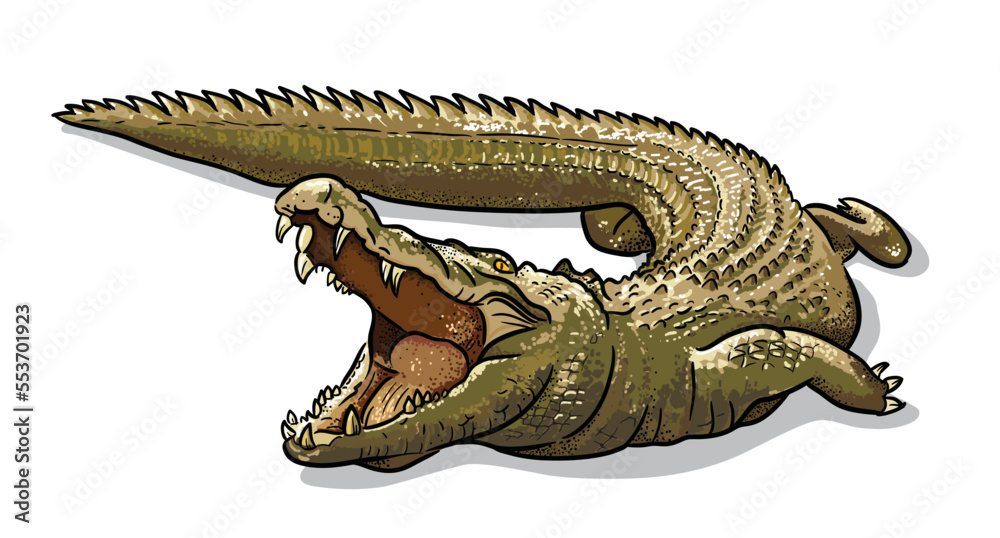 Animated Alligator With Mouth Open