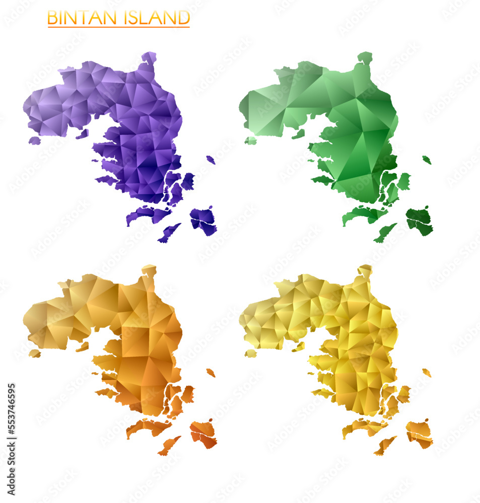 Set of vector polygonal maps of Bintan Island. Bright gradient map of ...