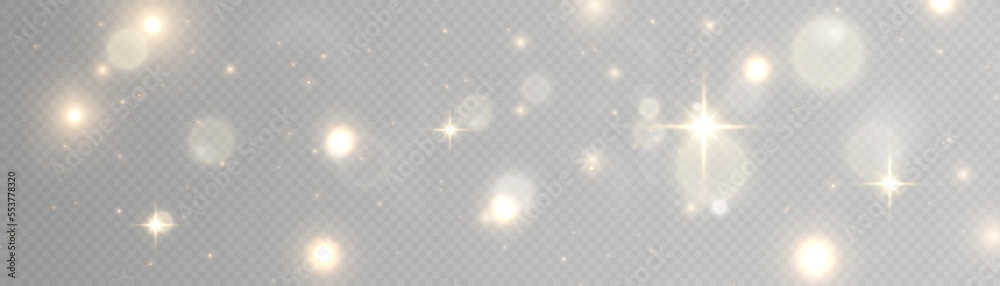 Light festive effect with lots of shiny shimmering particles isolated ...