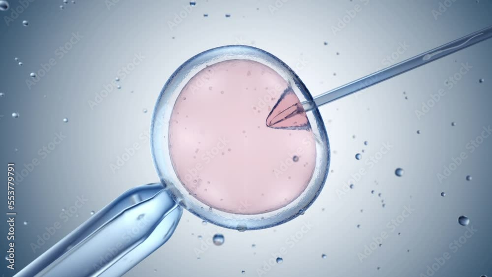 Artificial insemination or in vitro fertilization. 3D animation Stock ...