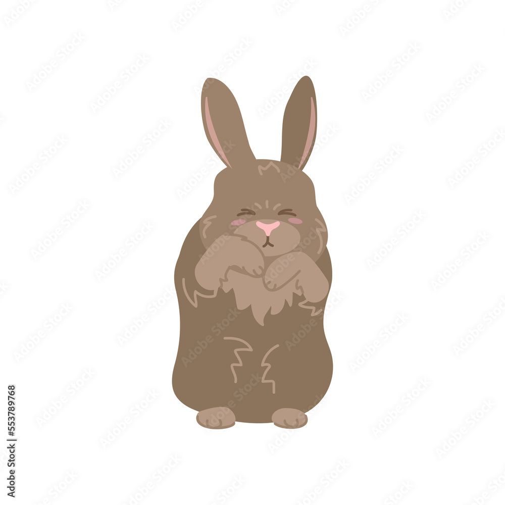 Funny brown rabbit standing in hind legs on white background. Cute ...