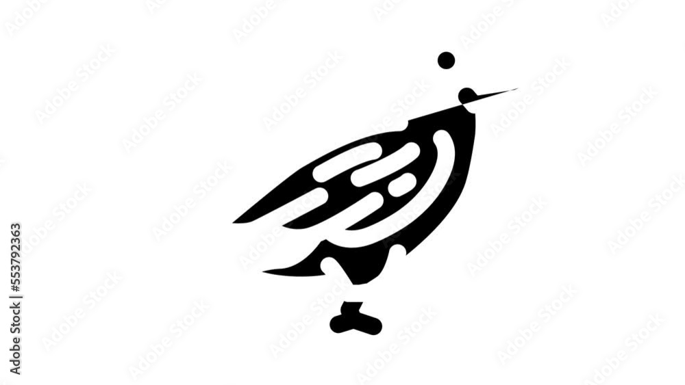raven bird glyph icon animation Stock Video | Adobe Stock