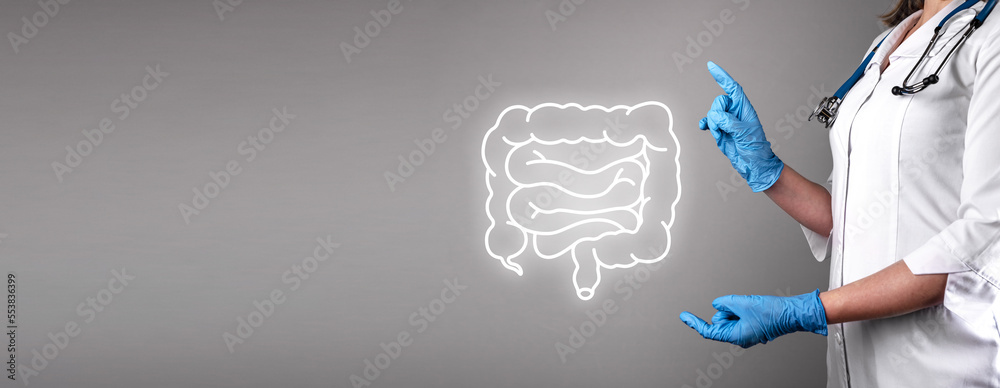 Intestine, guts, digestive health concept. Ad medical banner with guts ...