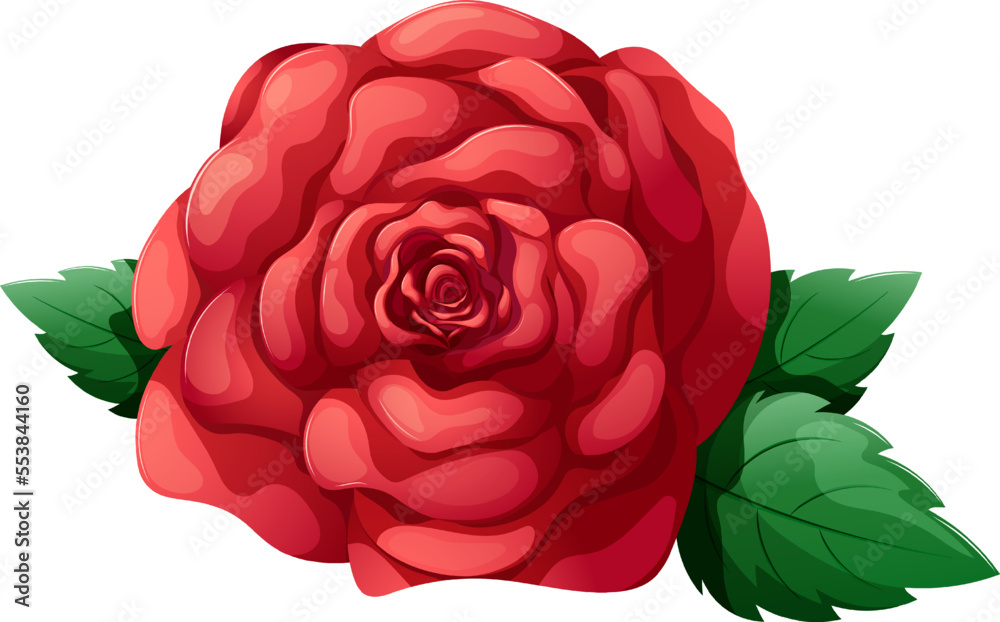Cartoon red rose, lush flower isolated Stock Vector | Adobe Stock