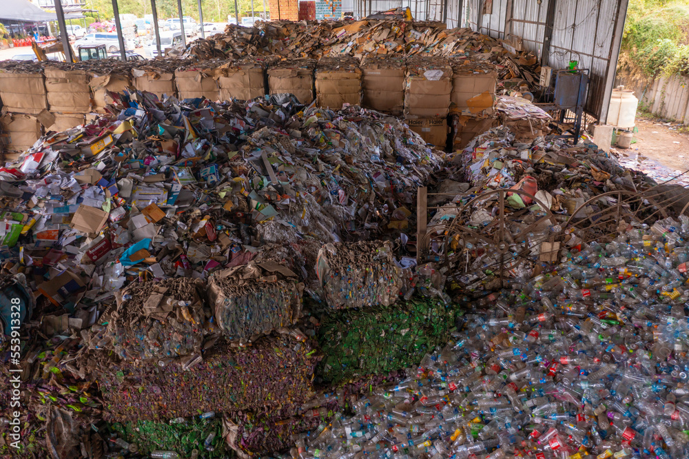 Recycling and storage of waste for further disposal, trash sorting ...