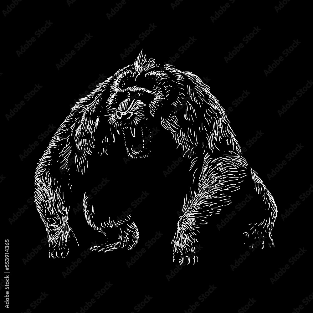 Dinopithecus hand drawing vector isolated on black background. Stock ...