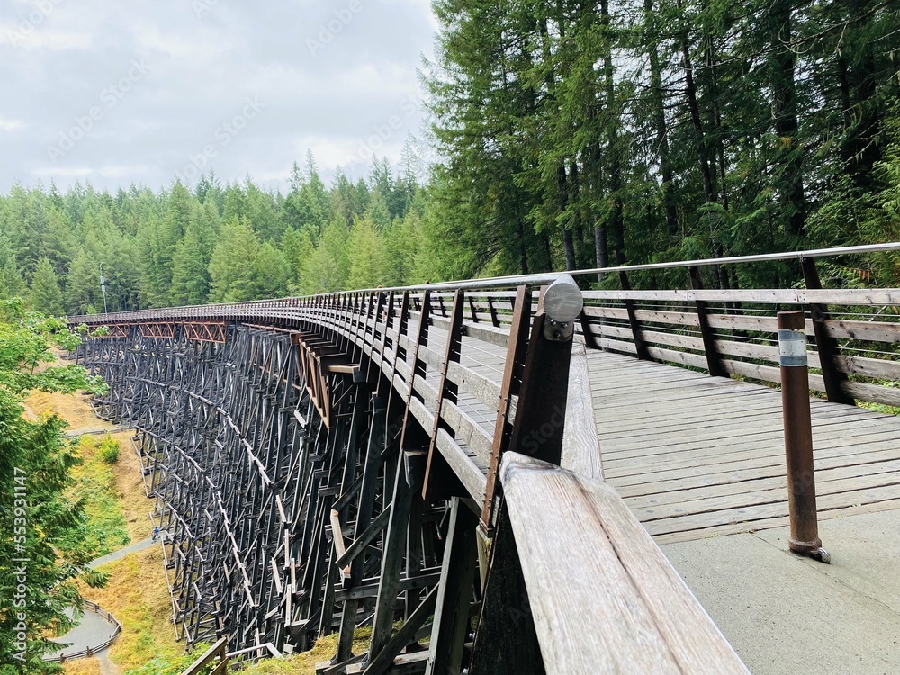 The Kinsol Trestle located on Vancouver Island is a wooden railway ...