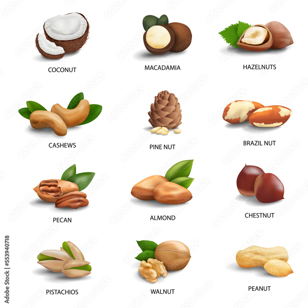 a collection of icons of different types of nuts. realistic 3d vector ...