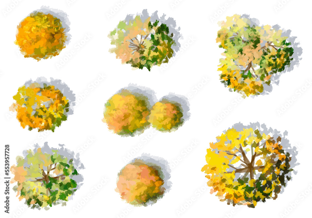 set of flowers,Vector watercolor of green tree top view isolated on ...