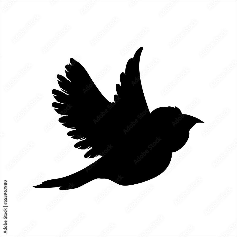 Beautiful black bird flying silhouette isolated on white background ...