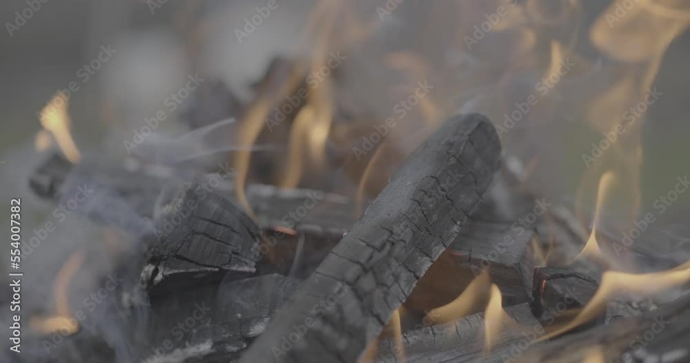 Warm Cozy Burning Fire Logs. Camping fire details with flames and ...