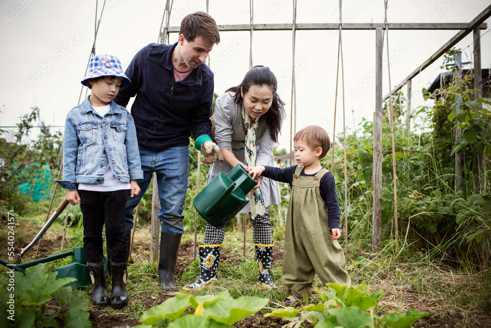 Family gardening in backyard vegetable garden Stock Photo | Adobe Stock