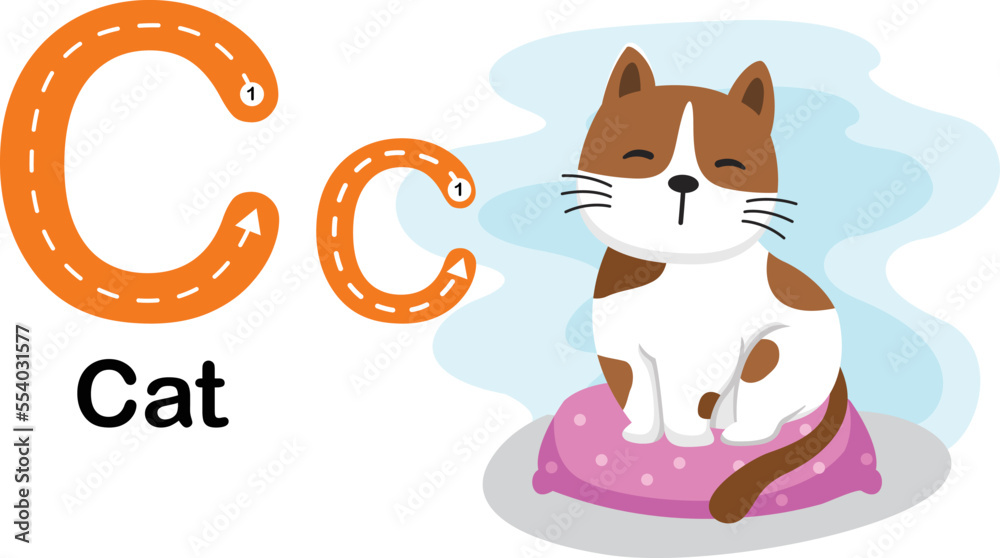 Alphabet Letter C-Cat with cartoon vocabulary illustration, vector ...