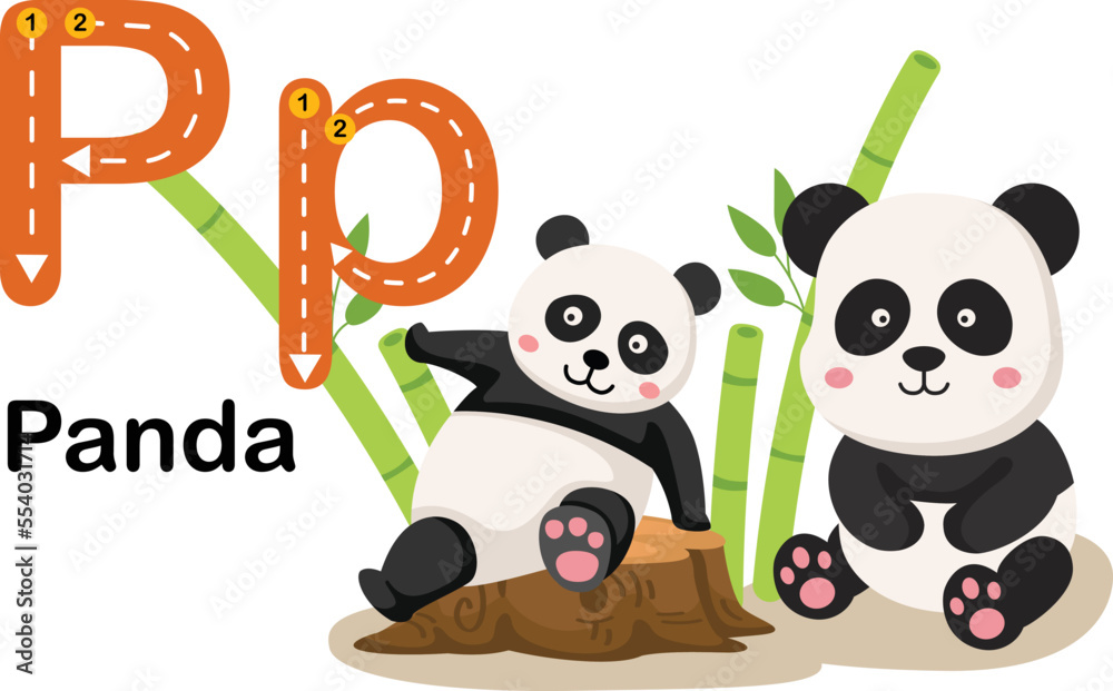 Alphabet Letter P-Panda with cartoon vocabulary illustration, vector ...