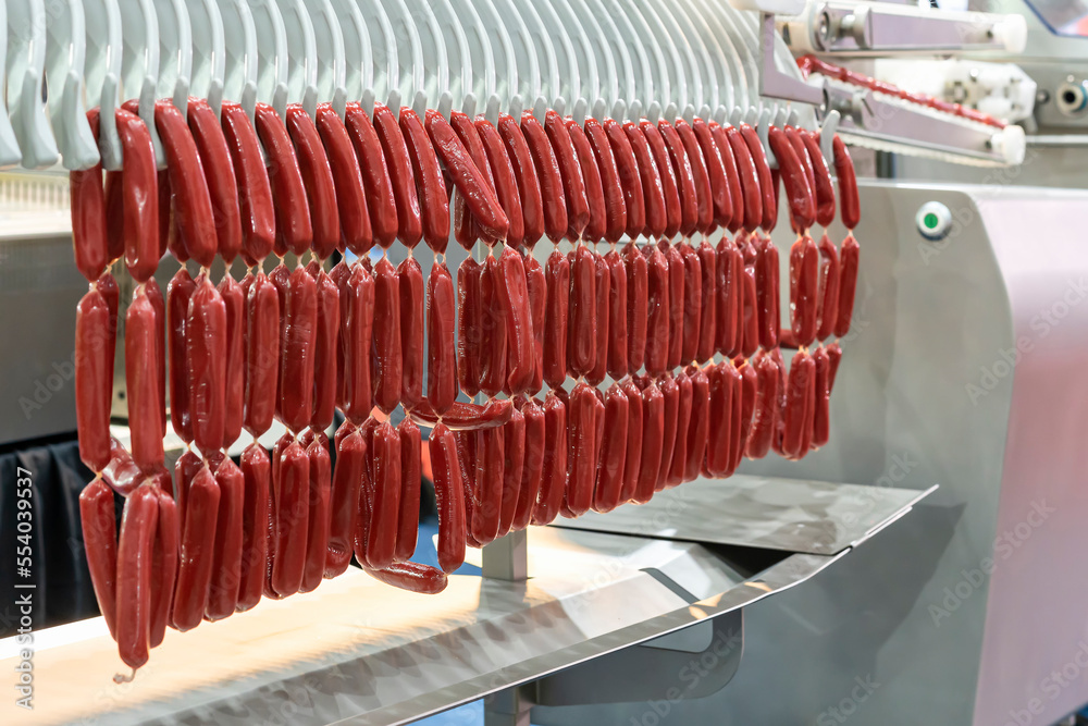 sausage chain during hanged on sausage hanging line of modern automatic ...