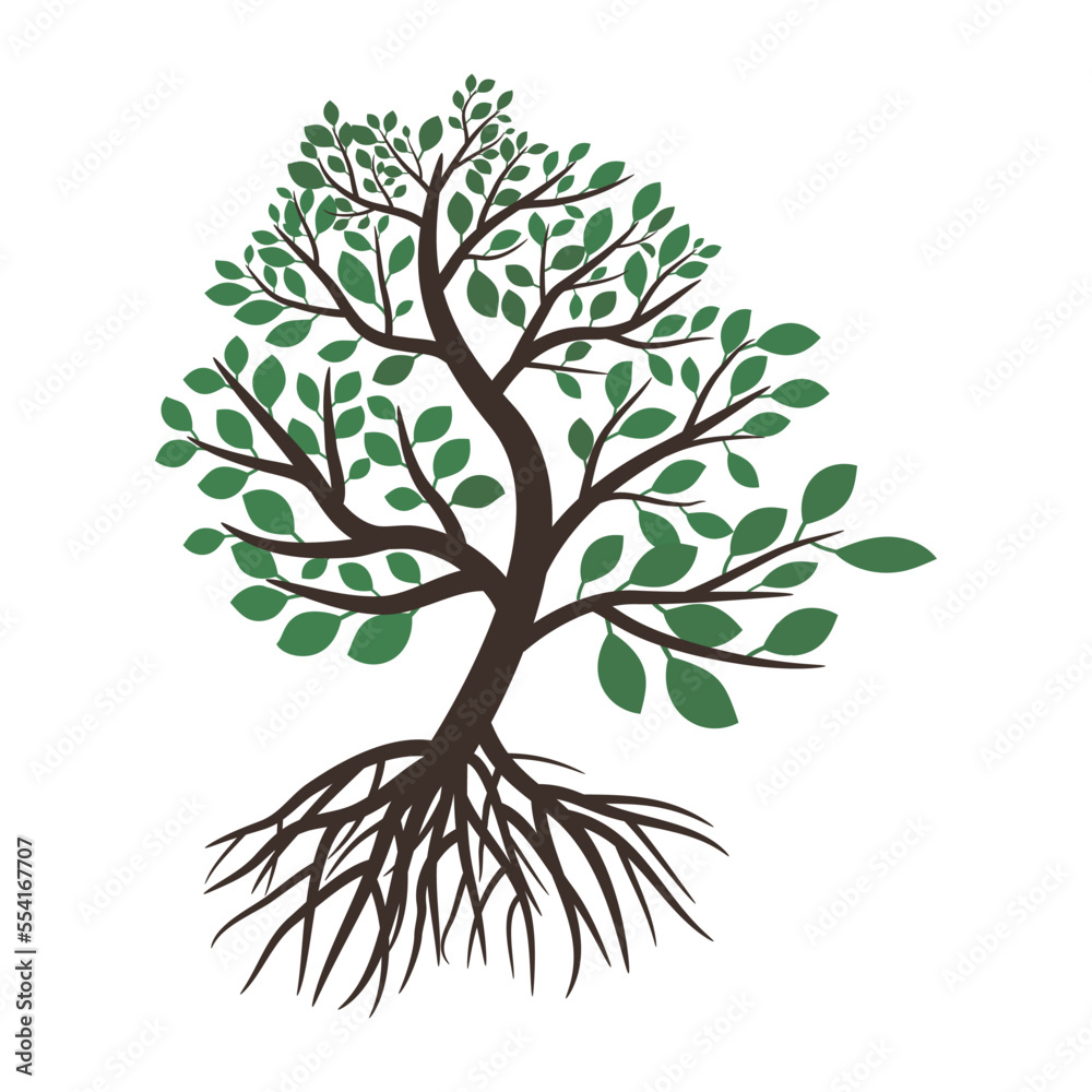 Green tree vector, tree art logo, tree isolated on white Background ...